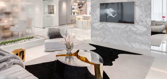 Vratika and Nakul: A Splendid Apartment